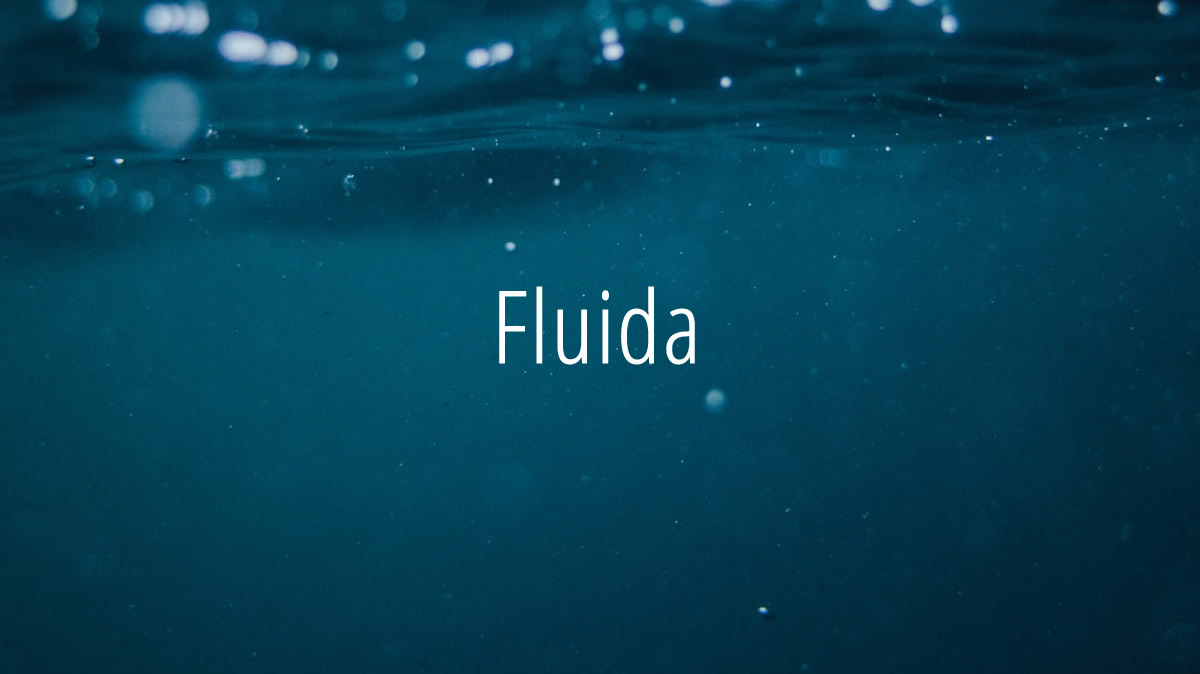 Fluida Plus - even more than a premium theme • Cryout Creations